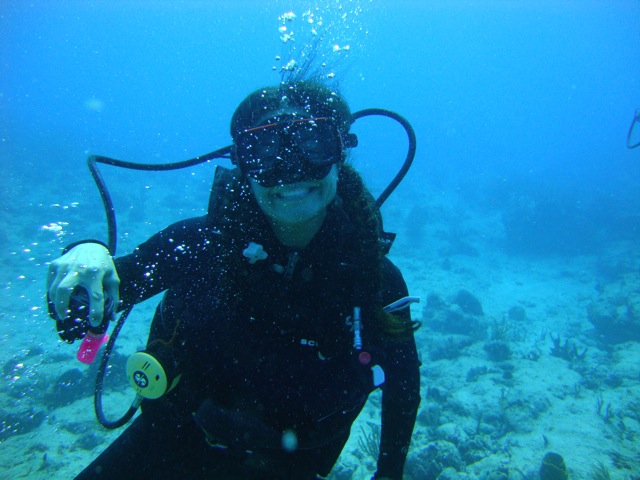 Yachtie Mommy: Anguilla, Crabs, Sand Castles and Sharks