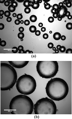 Gastrografia - Cocina al Desnudo: El mundo de las emulsiones