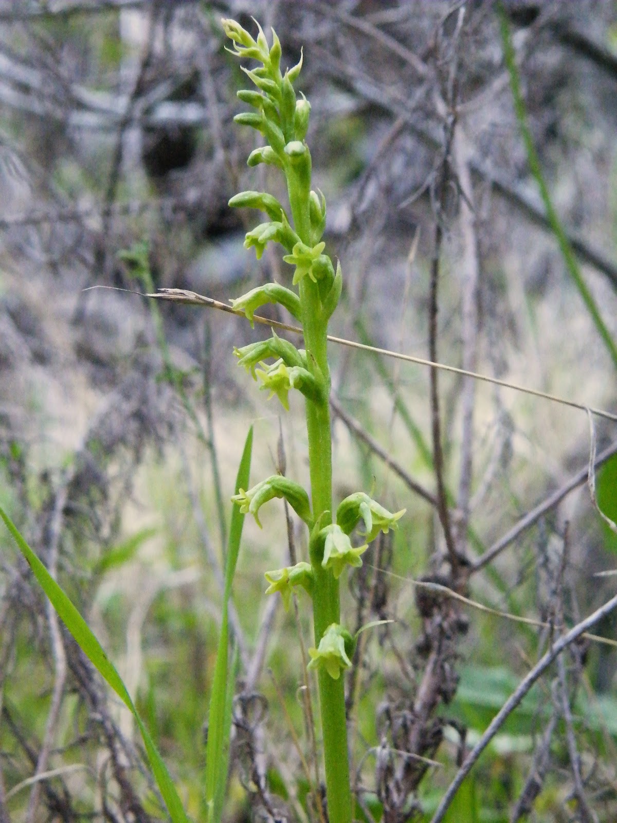 Alentejo, andando...