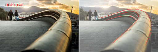 Punto, línea y forma. Los elementos básicos de la composición. - Fotolarios