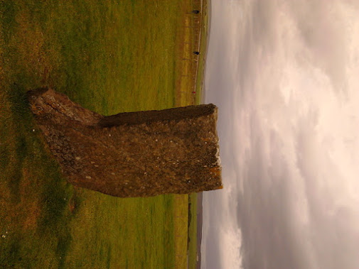 Keep Off The Groynes/Throw Nothing Into The Sea: Fossils, Photos ...
