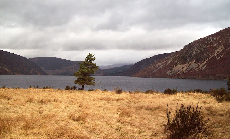 Walk Report - Meall Mor - a tale of two lochs • Walkhighlands