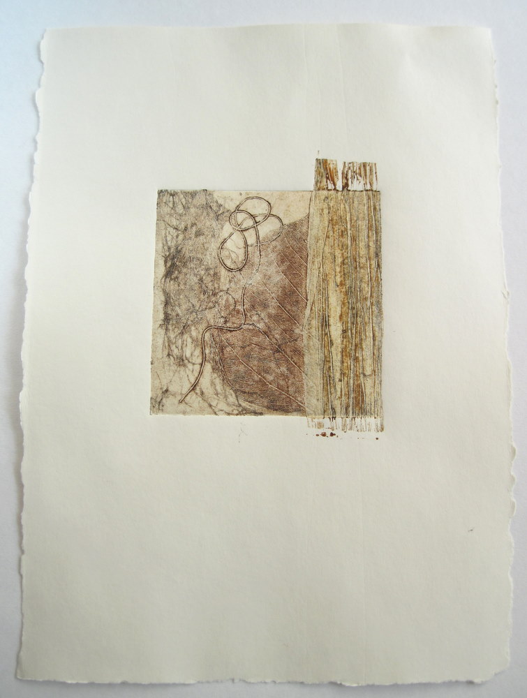 Helen Smith : Artist, Maker: Collagraph Printing