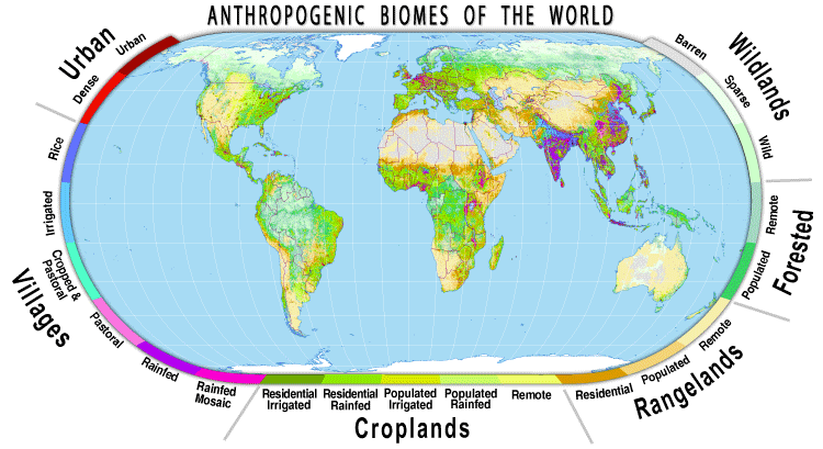 Cryptoforestry: A forager's critique of the 'Anthropocene' [updated]