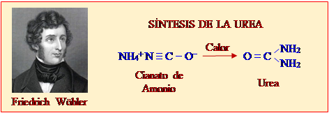 Agenda Química Virtual El Poder De La Síntesis Orgánica