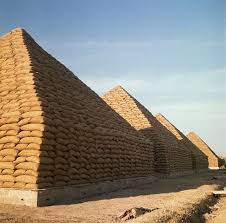 Nigeria To Rebuild Kano Groundnut Pyramid - Paddizone | Nigerian #1 ...