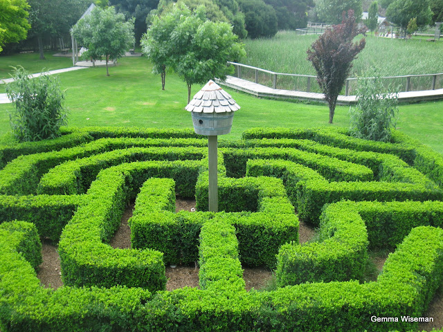 Art of Trees and Plants: small hedge maze...