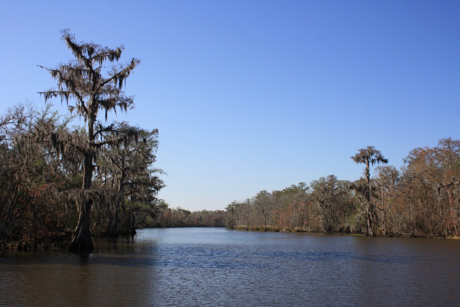 Des pavés du Nord aux Bayous de Louisiane: sur le Bayou Boeuf