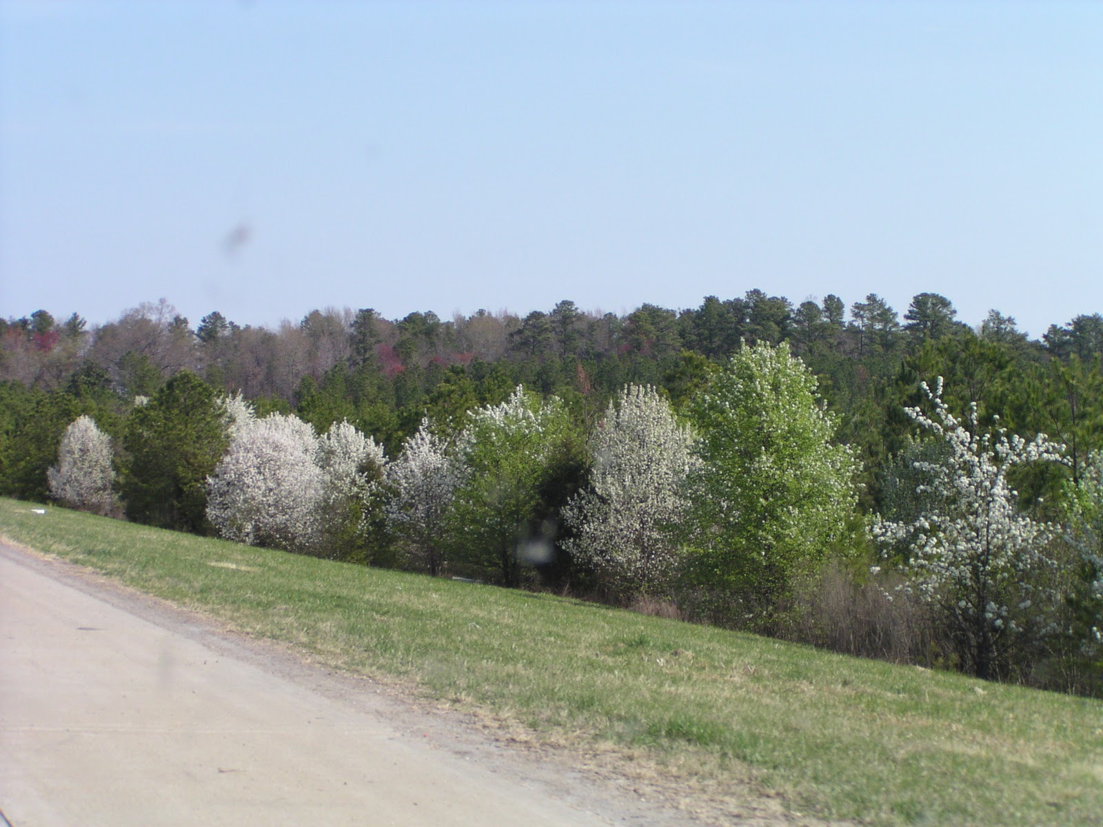 Travel with Kevin and Ruth: Dover, Delaware