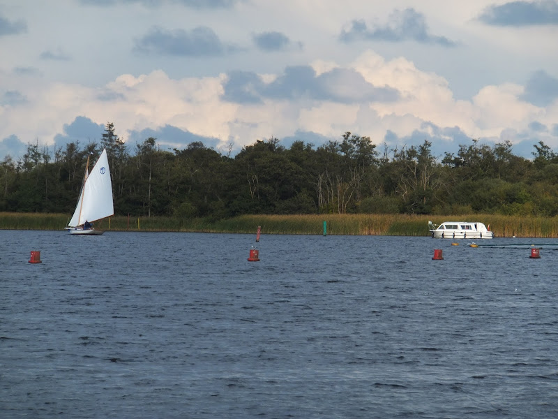 A Norfolk Broads Walk from Neatishead to Horning ~ Griffmonsters Great ...