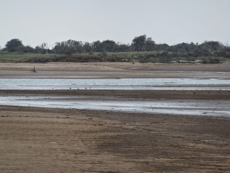 Lincolnshire Coast Path - Skegness to Gibraltar Point ~ Griffmonsters ...