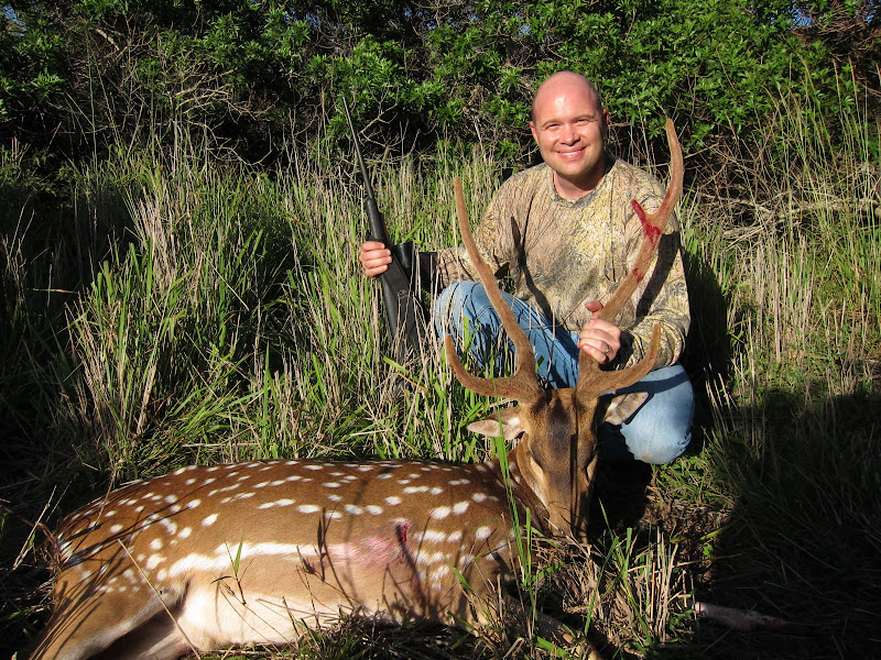 Best way to aim for a deer's vitals? - 24hourcampfire