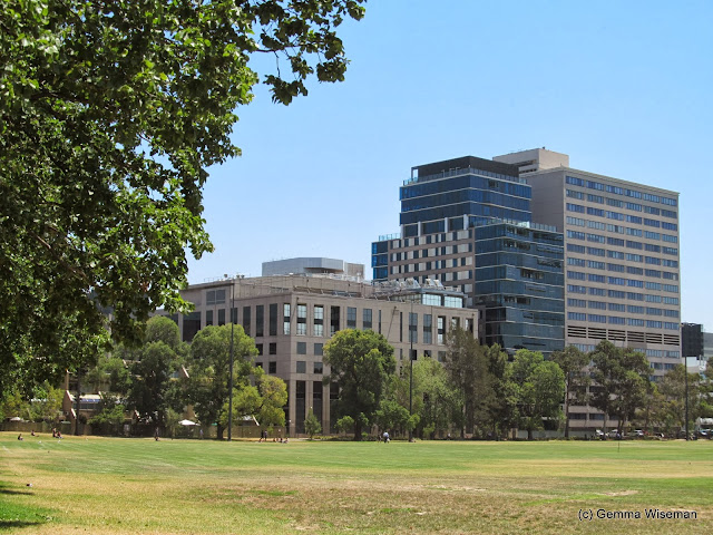 Gemma's ~~~ "Greyscale Territory" ~~~~~~~ Poetic Songlines: Fawkner Park