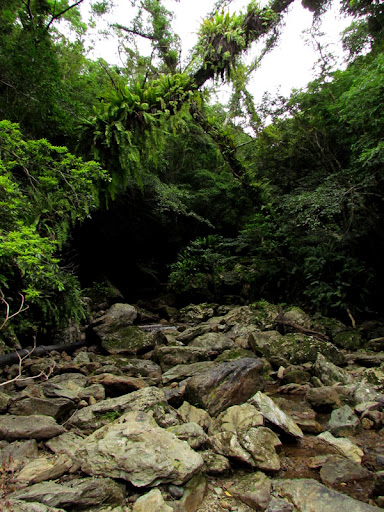 Map It! Okinawa: "River Trekking the Takazato River"