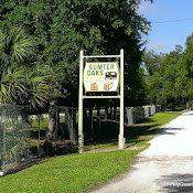 Bushnell, FL – Escapees Sumter Oaks Campground Review – My Quantum ...