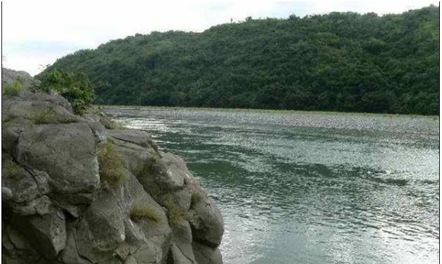 Management of Technology