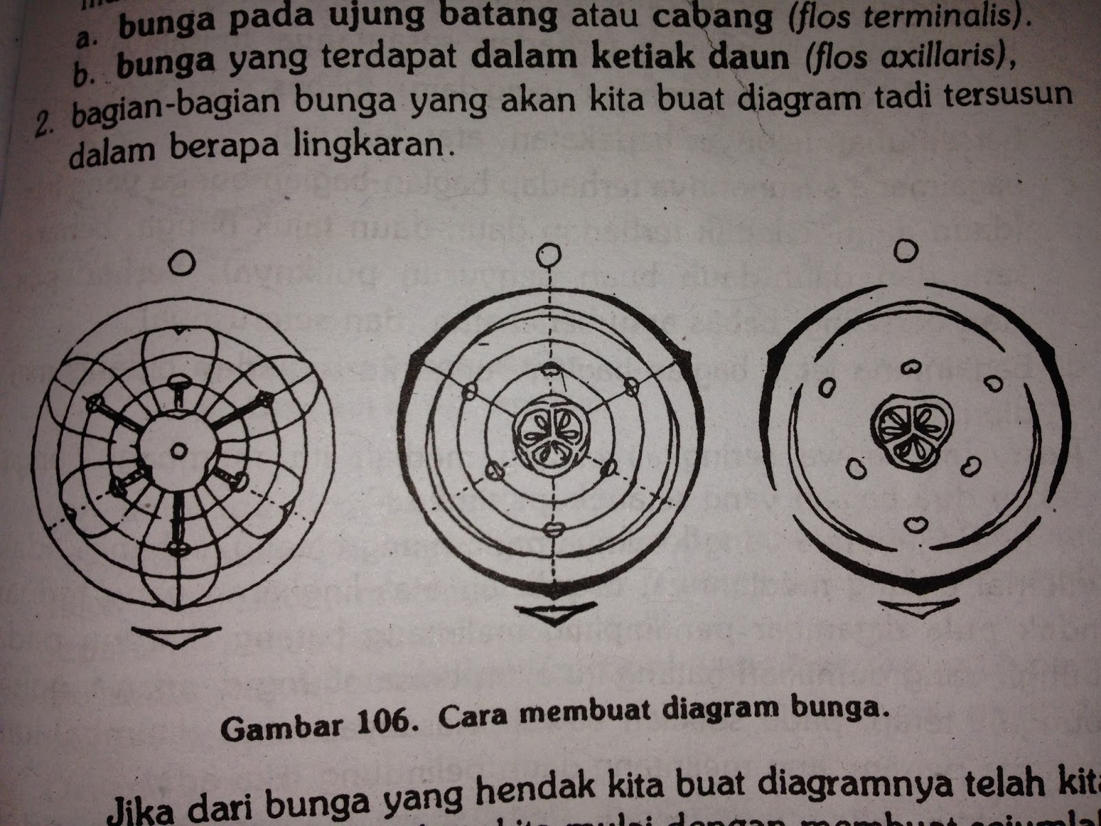 Terbaru 2015 Diagram Dan Rumus Bunga