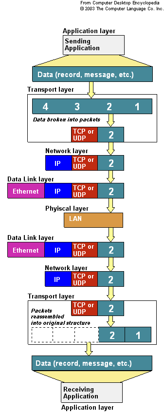 Ankitshuklacmc Protocol Stacks