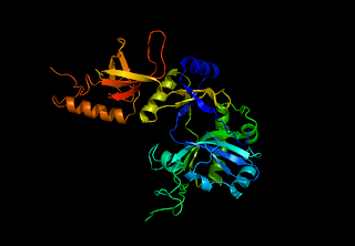 DNA Ligase: DNA Ligase Pymol Representations