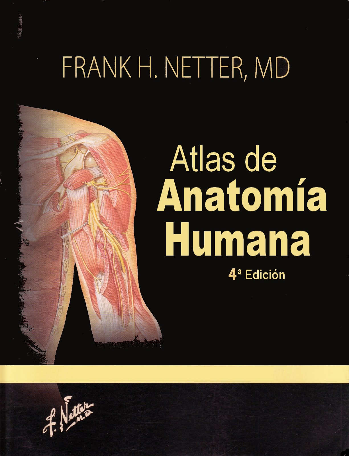 Netter Atlas De Anatomía Humana 4ª Edición Tuclubdefarmacia