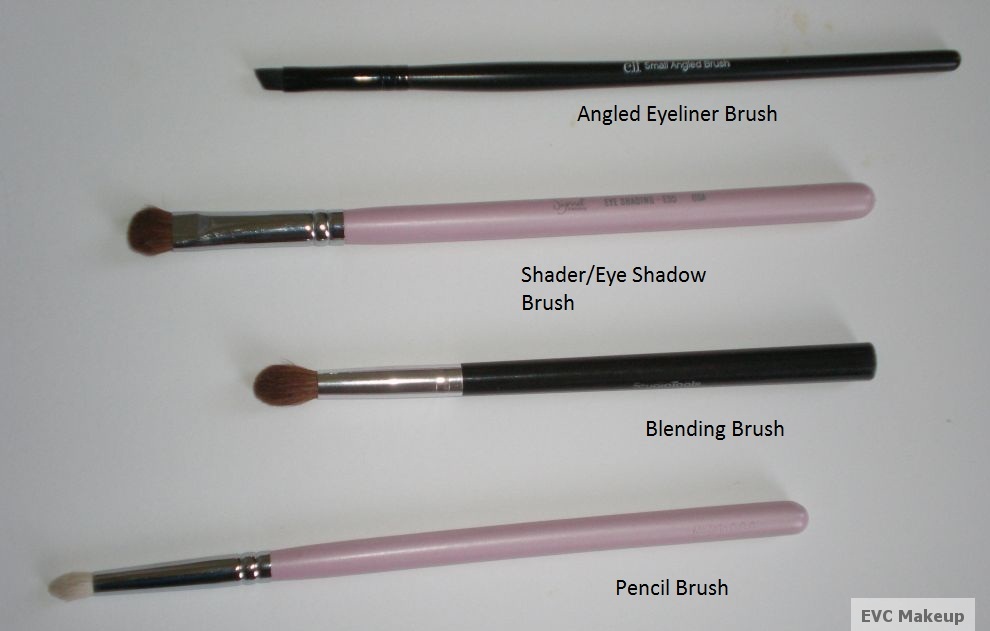 Evc Makeup Makeup 101 Beginner Basic Brushes Kit