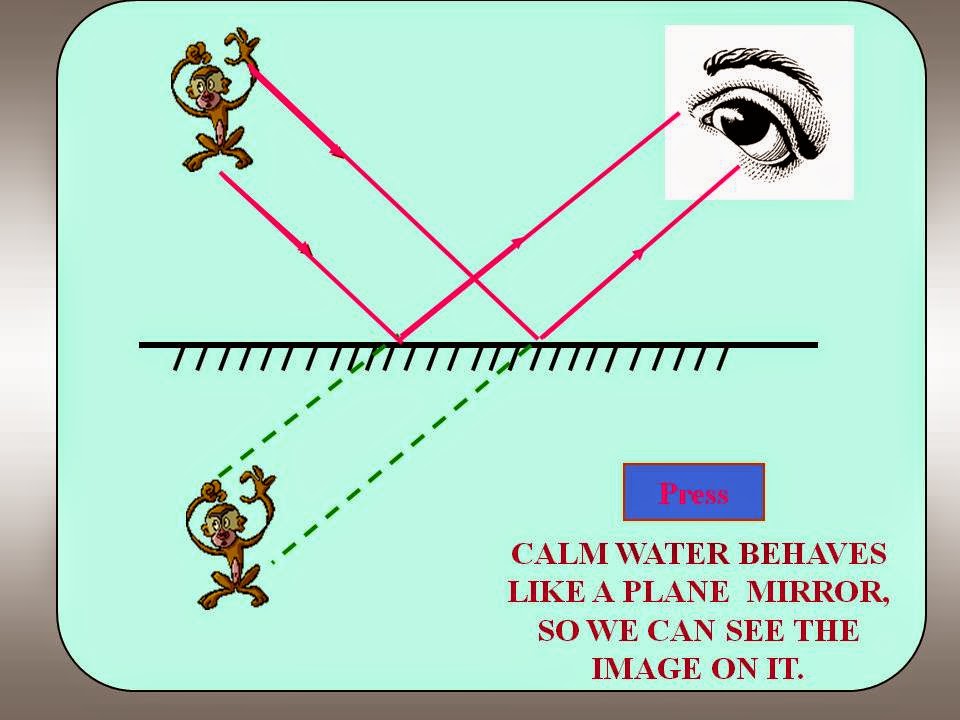 Physics Learn Wave Wave Motion Transverse Wave Longitudinal Wave