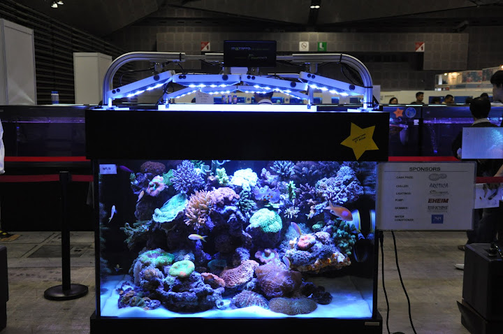 Mazarra LED @ Aquarama 2011 | Reef2Reef