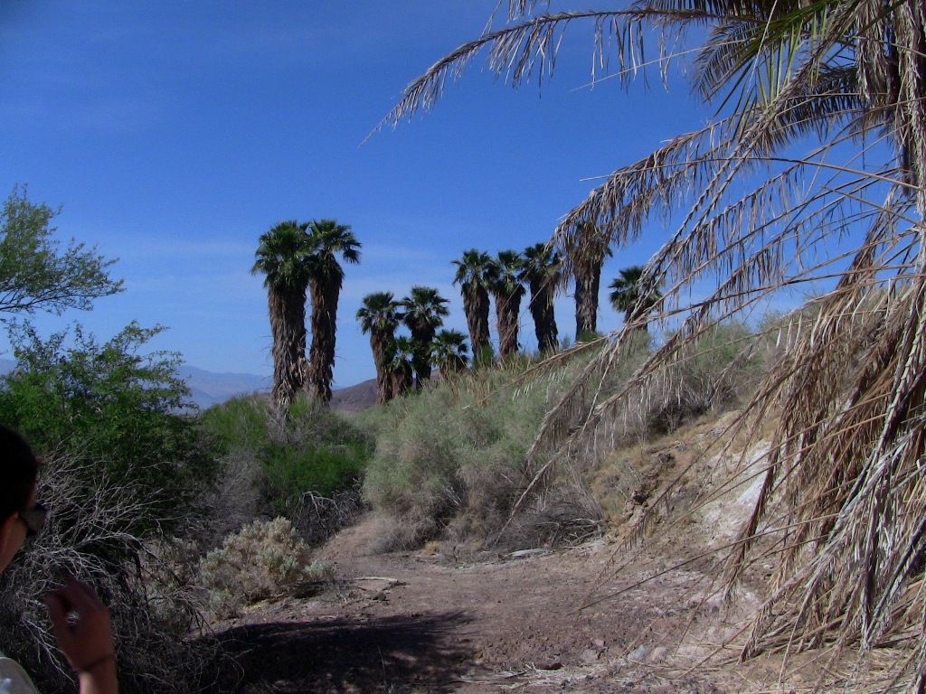 Photo Album: Ibex Springs Death Valley National Park - Capo Valley 4 ...