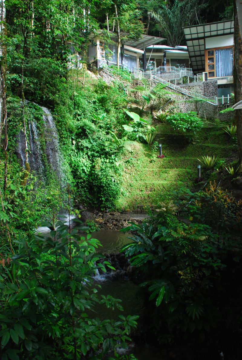 Nature @Taman Simalem Resort, Danau Toba