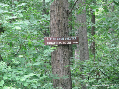 Hiking With Hammer: Annapolis Rock Hike on the Appalachian Trail