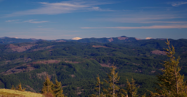 I Can See For Miles.. Mt Hebo summit meadow 2/8 - Oregon Hikers