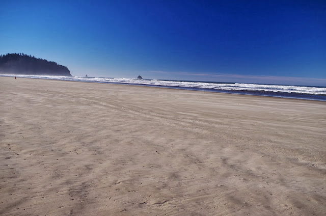 Bayocean Spit / Tillamook Bay Wetlands Area 1/20 - Oregon Hikers