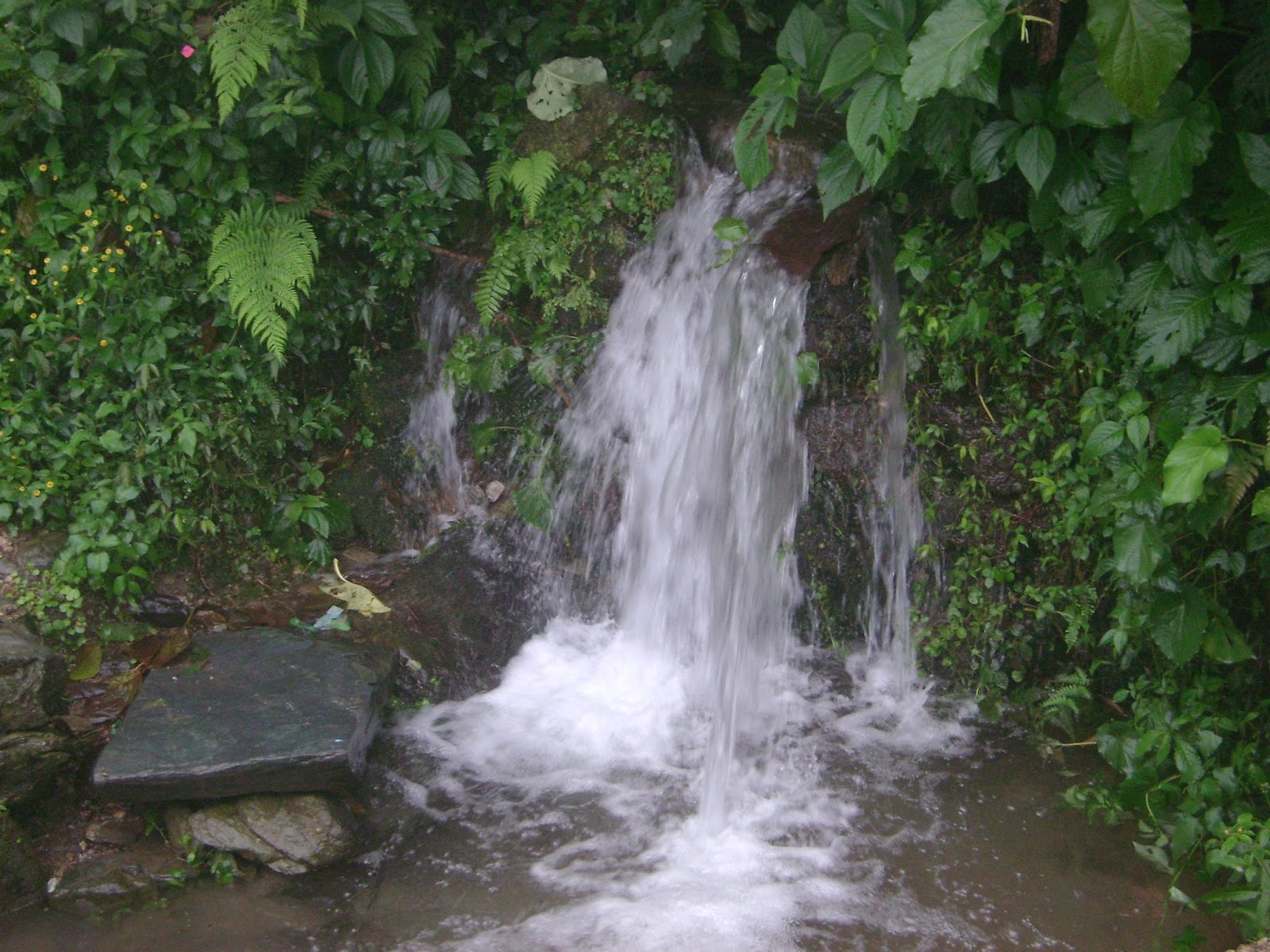 San Pedro Sochiapam Medio Fisico