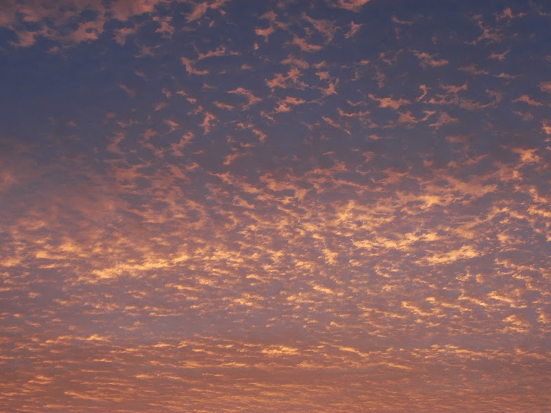 sunset sky. near dubai. | eye carnival