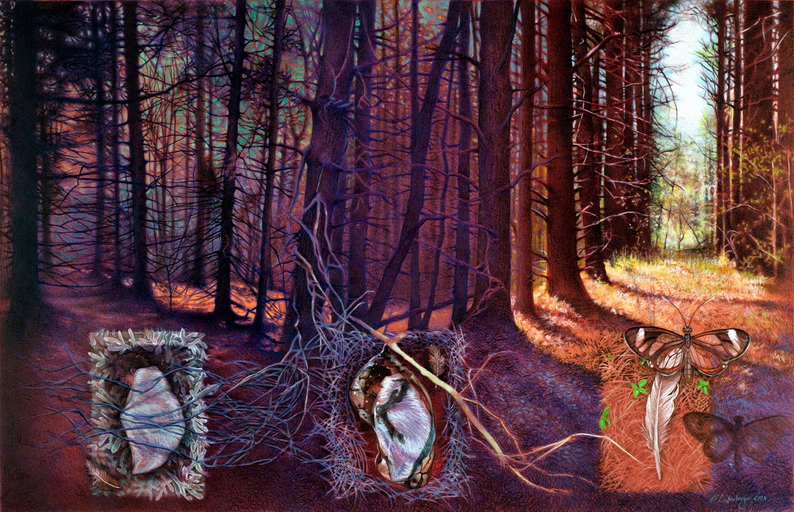 On My Drawing Board: Sarah Emma Edmonds II: Transformation/Liberation ...