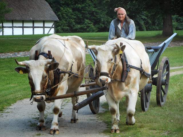 SUNNY holidays in Denmark UKCampsite.co.uk Caravanning and Camping ...