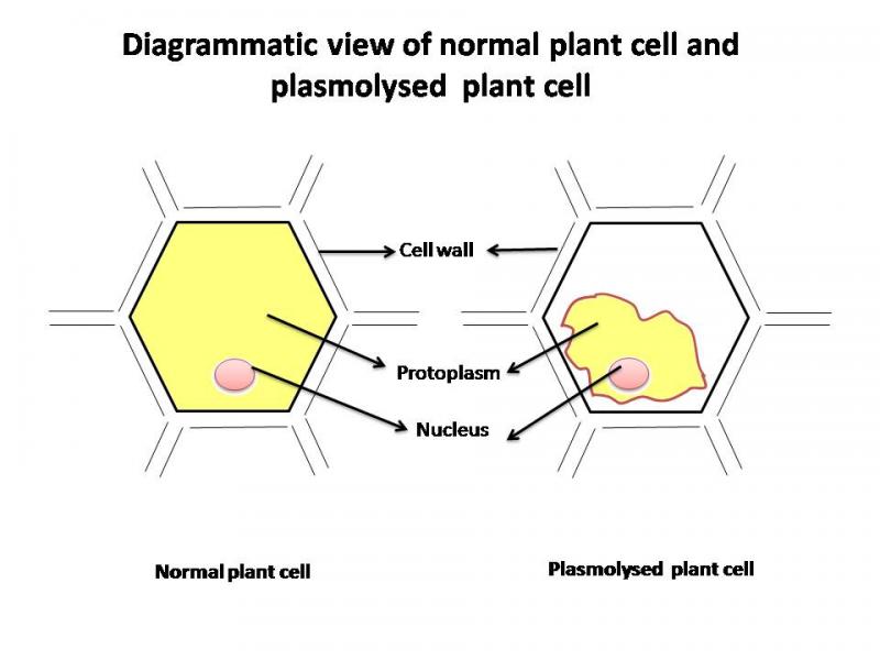 ALIT ADI SANJAYA: Februari 2011