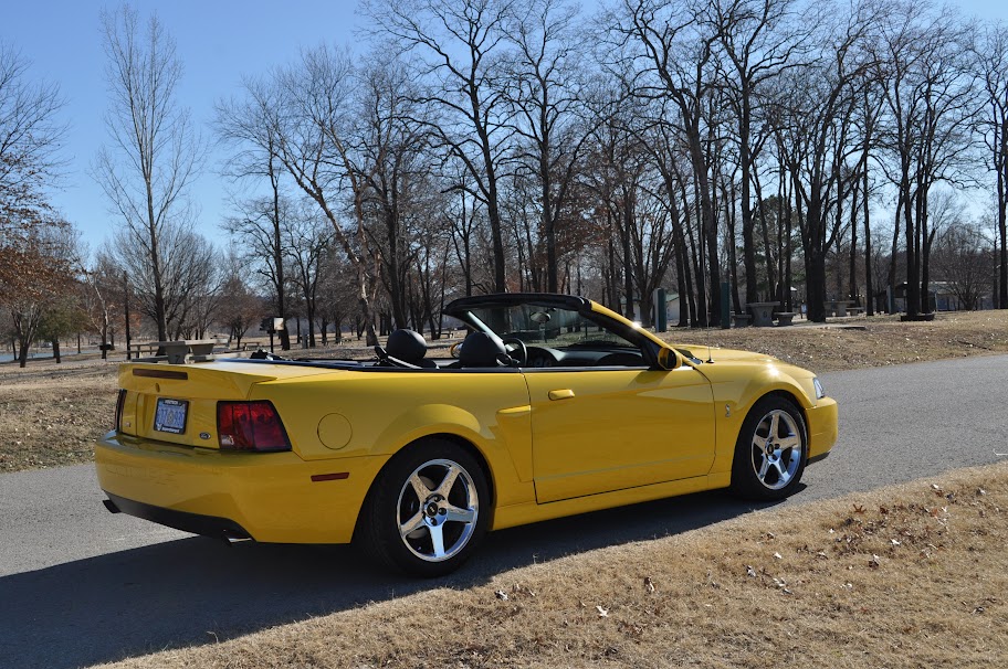 2004 Mustang Cobra Terminator For Sale (Screaming Yellow Convertible ...
