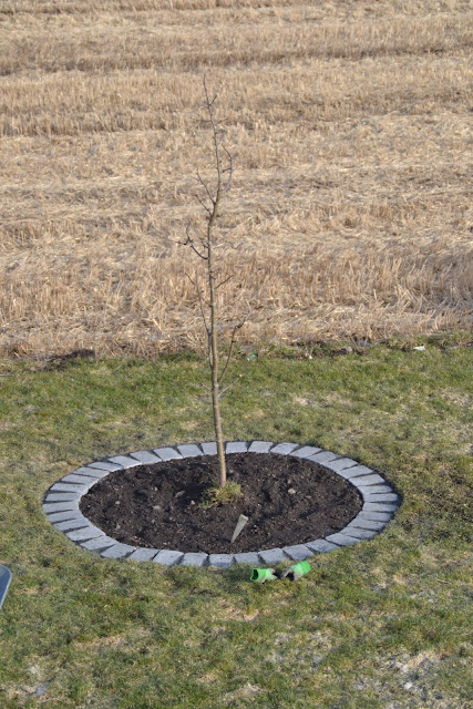 Den Lykkelige Hagen : Nye bed med kantstein