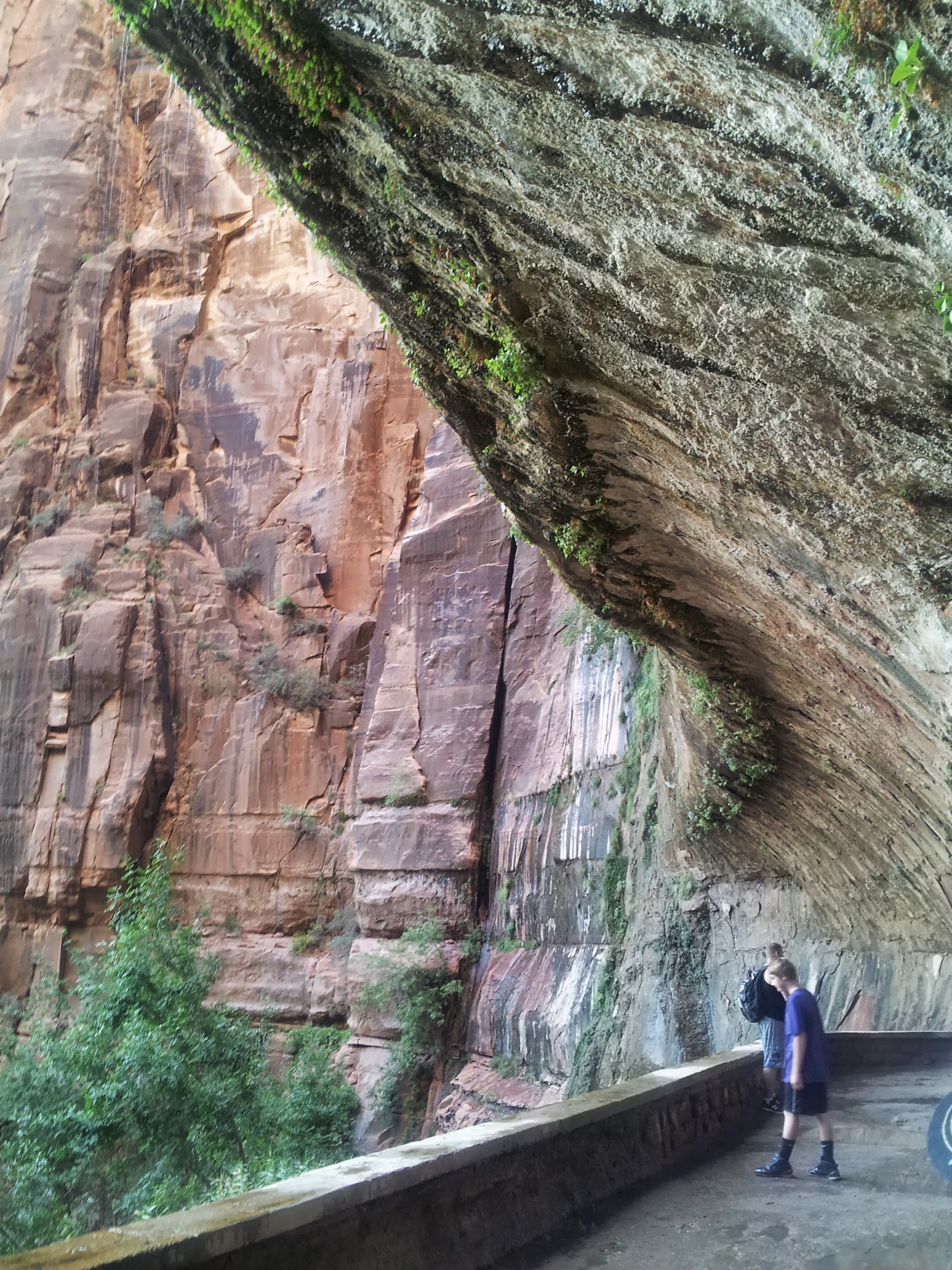 Farmer House: Zion's weeping rock. So beautiful!