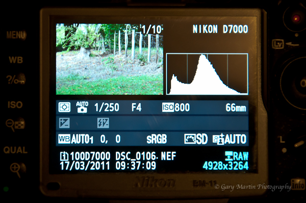PhotoBitz: Camera Histogram Basics