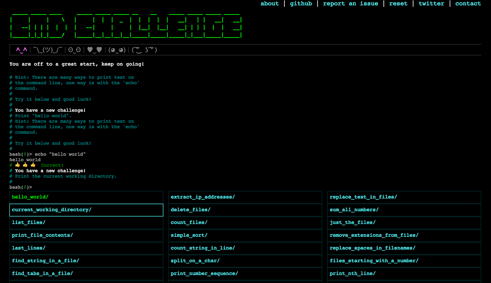 Commandline Challenge Bash Writeup