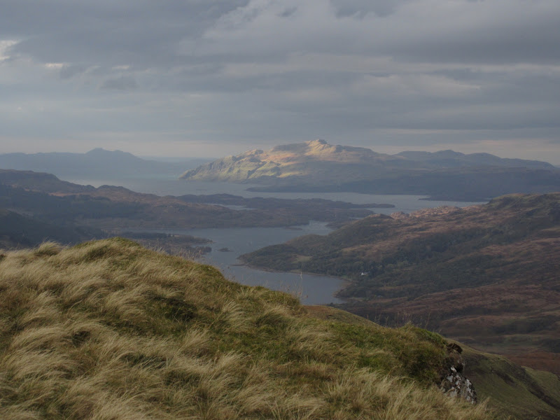 Walk Report - Morvern - little known delights • Walkhighlands