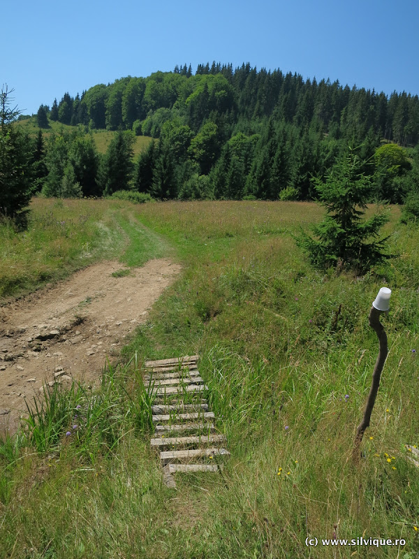 2015.08.09 – Apuseni – Traseul Maratonului Apuseni solitar - Blogul lui ...