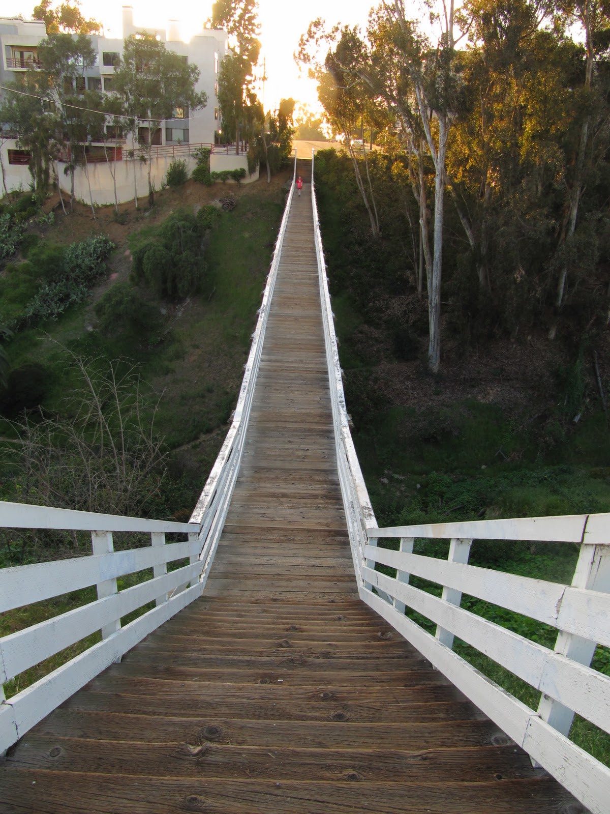 Traipsing Through The Tulips: Bridges of Bankers Hill - San Diego