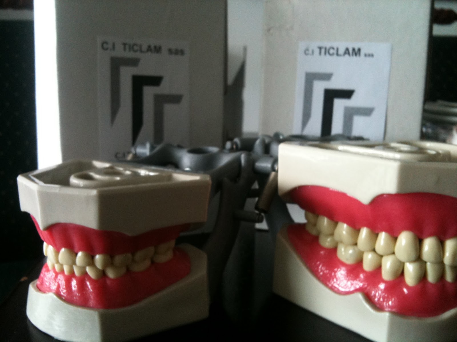 C.I TICLAM -IMPORT-EXPORT-TRADE