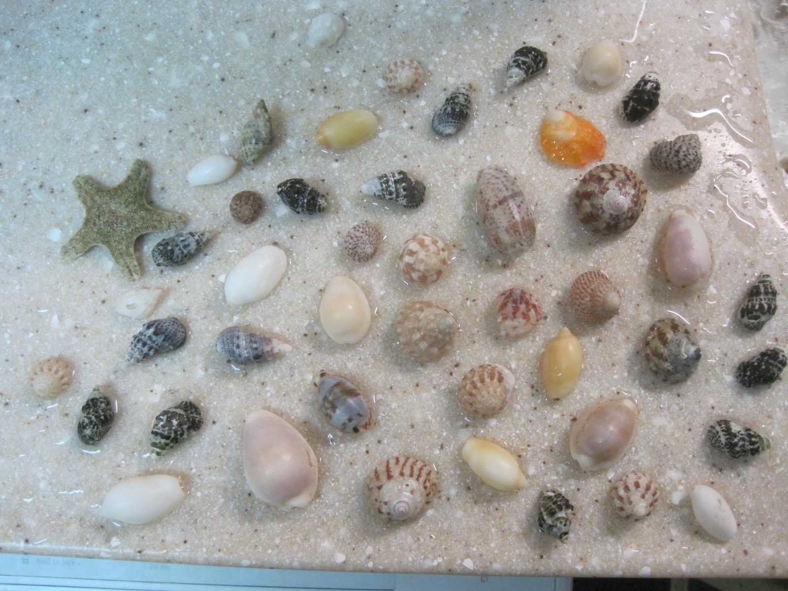 Saudi Scenes: Ras Tanura Beach