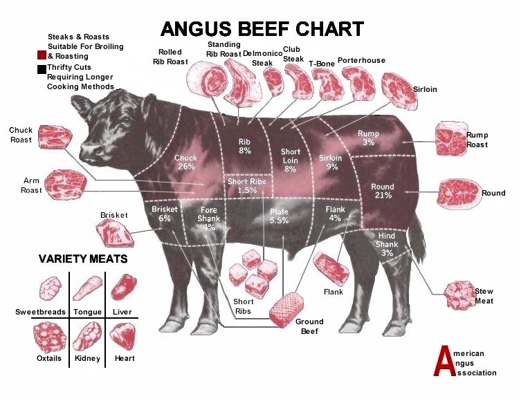 The American Cowboy Chronicles Cattle Diagrams Retail Beef Cuts Chart