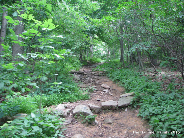 Hiking With Hammer: Annapolis Rock Hike on the Appalachian Trail