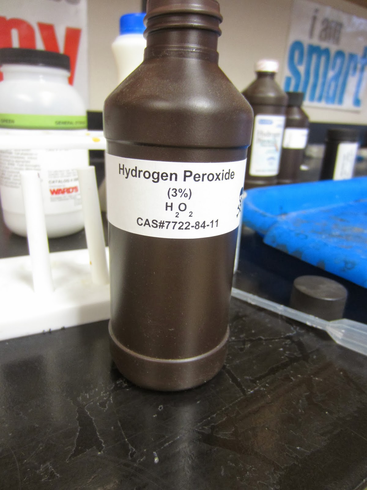 Ec Honors Biology Enzyme Lab